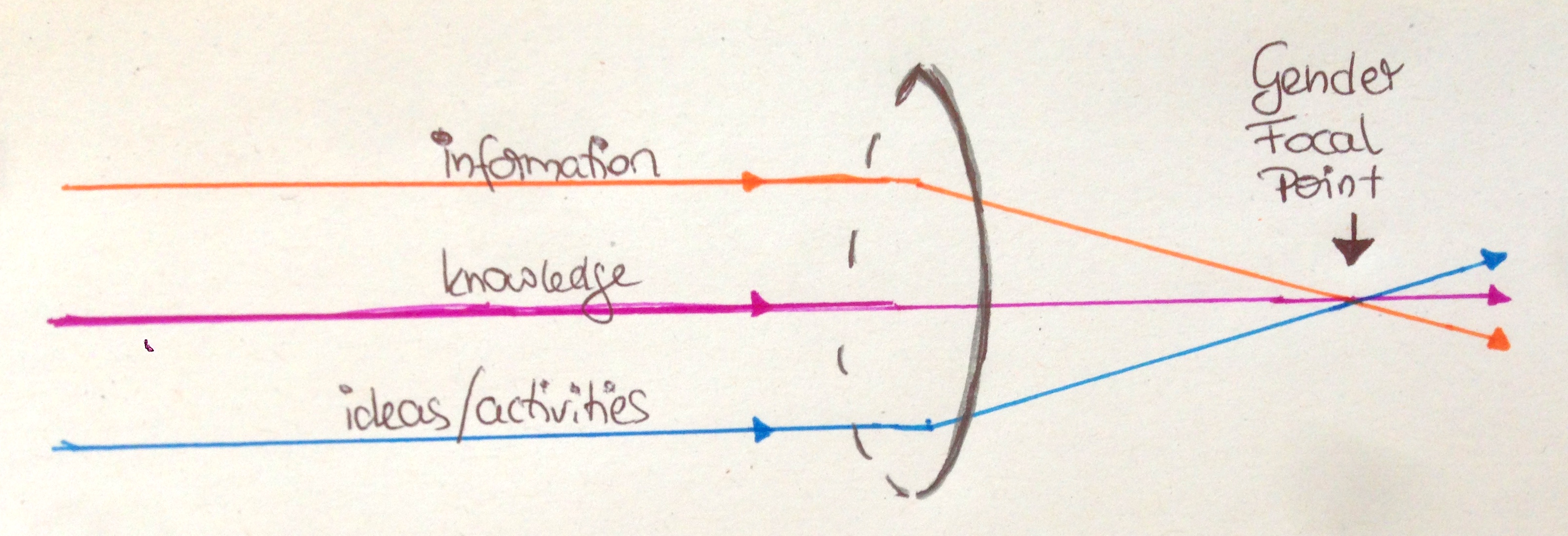 blog – Gender & Chemicals