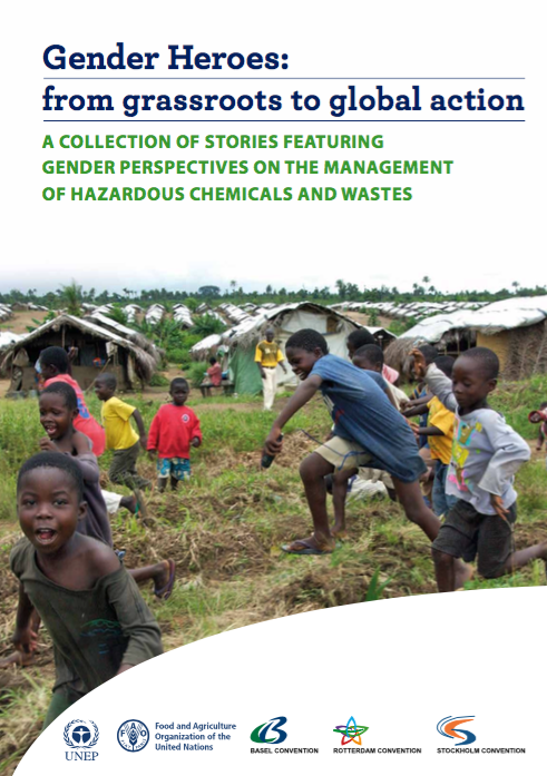 What is a Gender Focal Point? – Gender & Chemicals