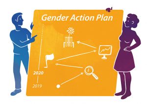 What is a Gender Action Plan? – Gender & Chemicals