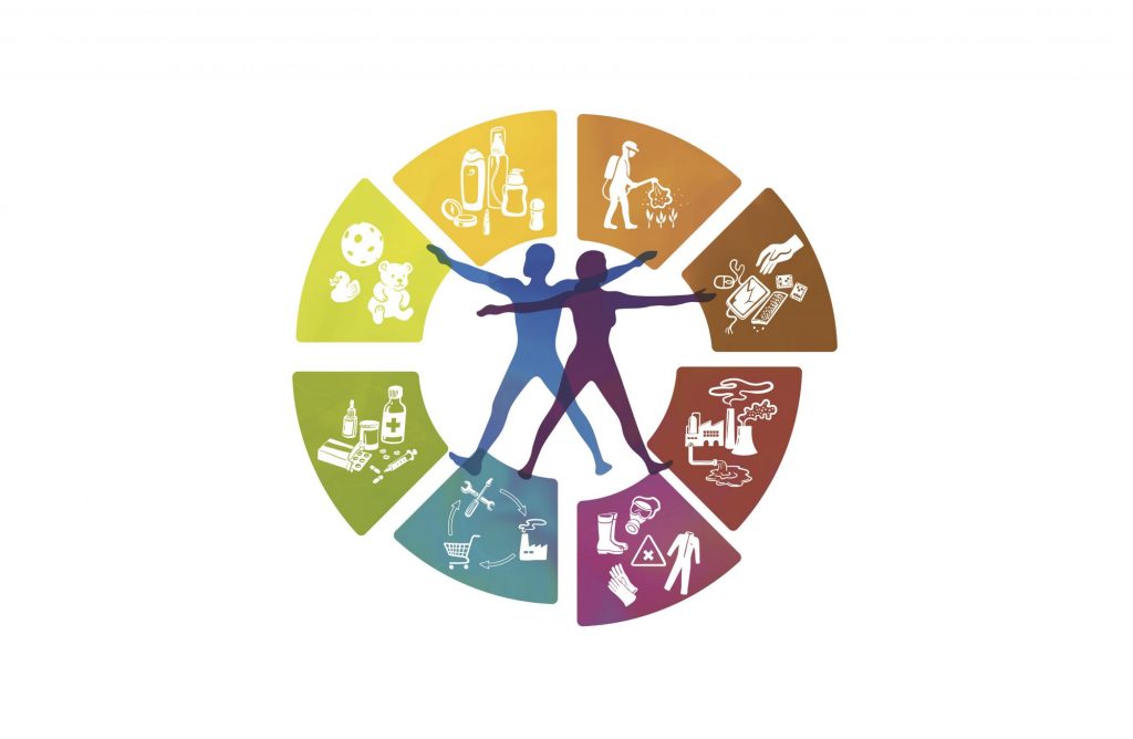 What is a Gender Focal Point? – Gender & Chemicals