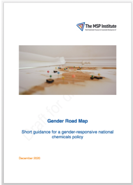 newsletter – Gender & Chemicals